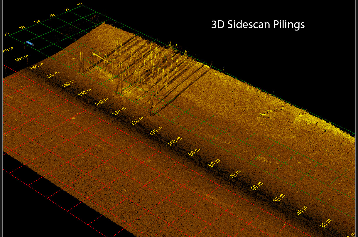 3DSS Sonar Products | Ping DSP
