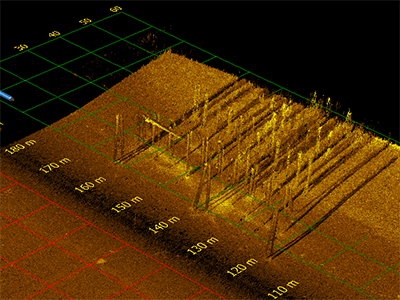 3DSS Sonar iDX450 | Ping DSP