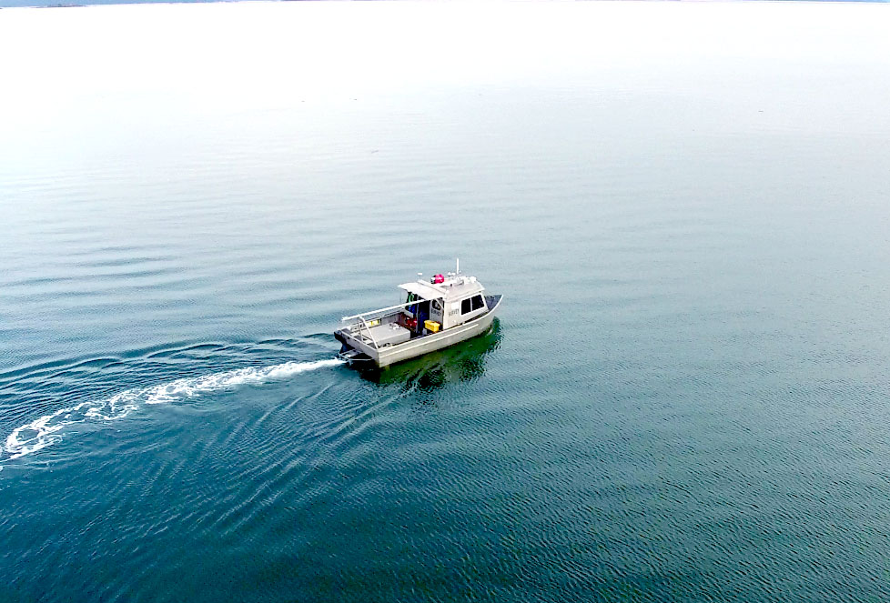 3DSS 3D Side Scan Sonar | Ping DSP